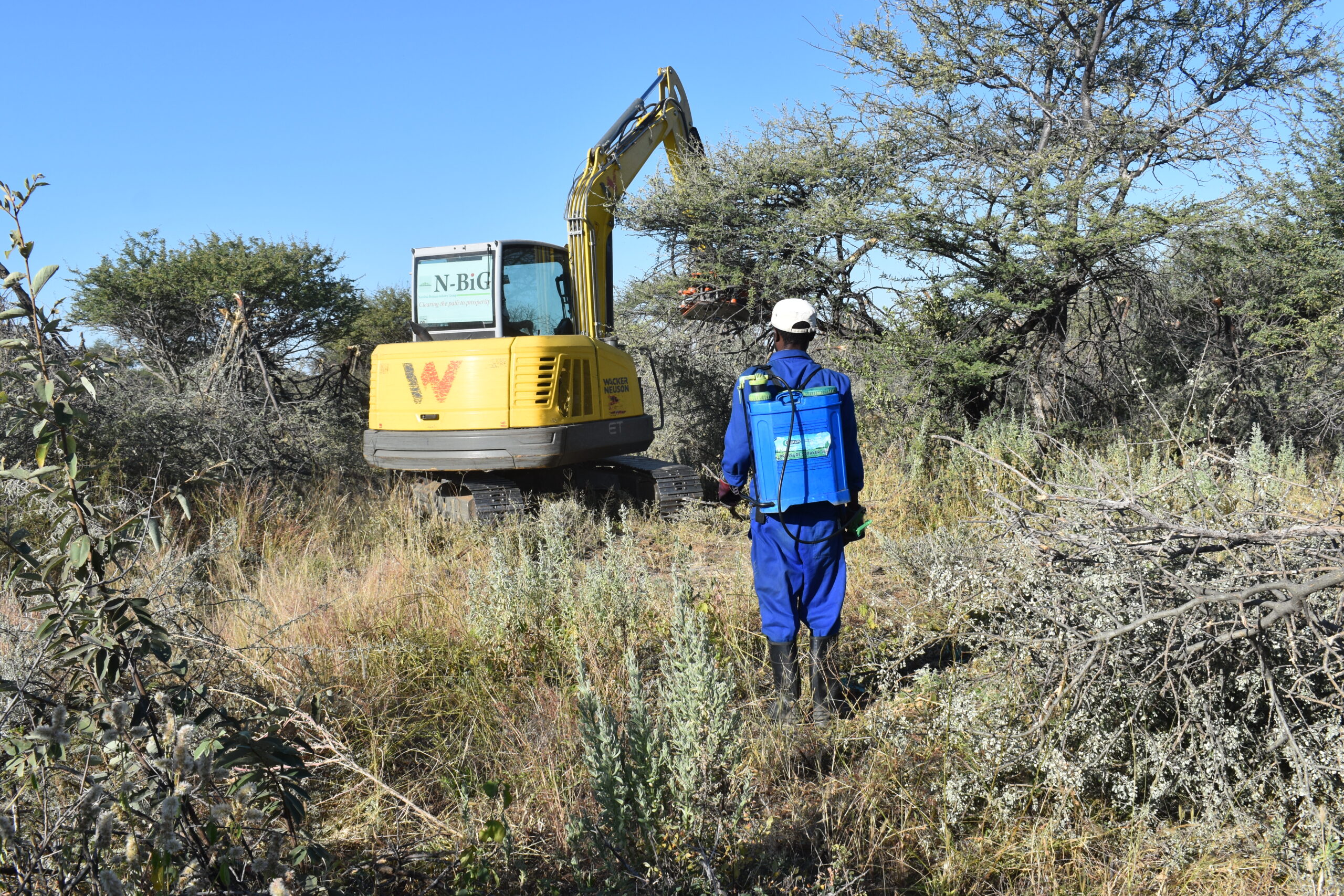 Bush Thinning and Aftercare - Namibia Biomass industry Group (N-BiG)